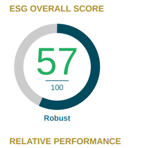 ESG Ratings :: NWB Bank